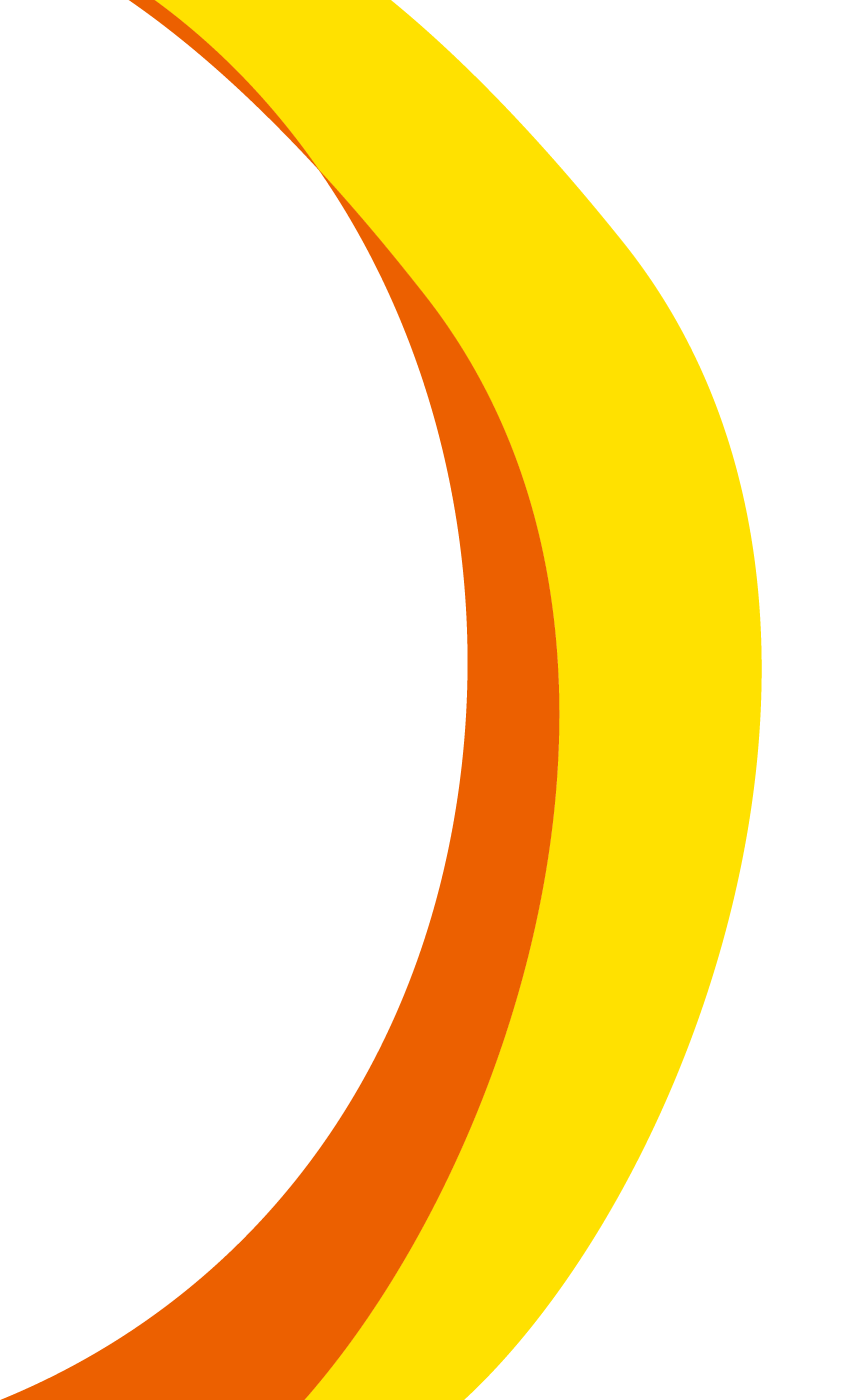 Our services — Adoption Counts