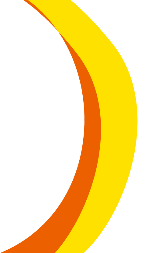 Our services — Adoption Counts