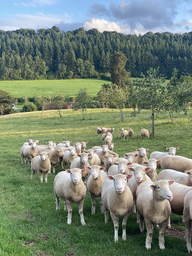 About The Haybarn — The Haybarn Wedding Venue, Herefordshire