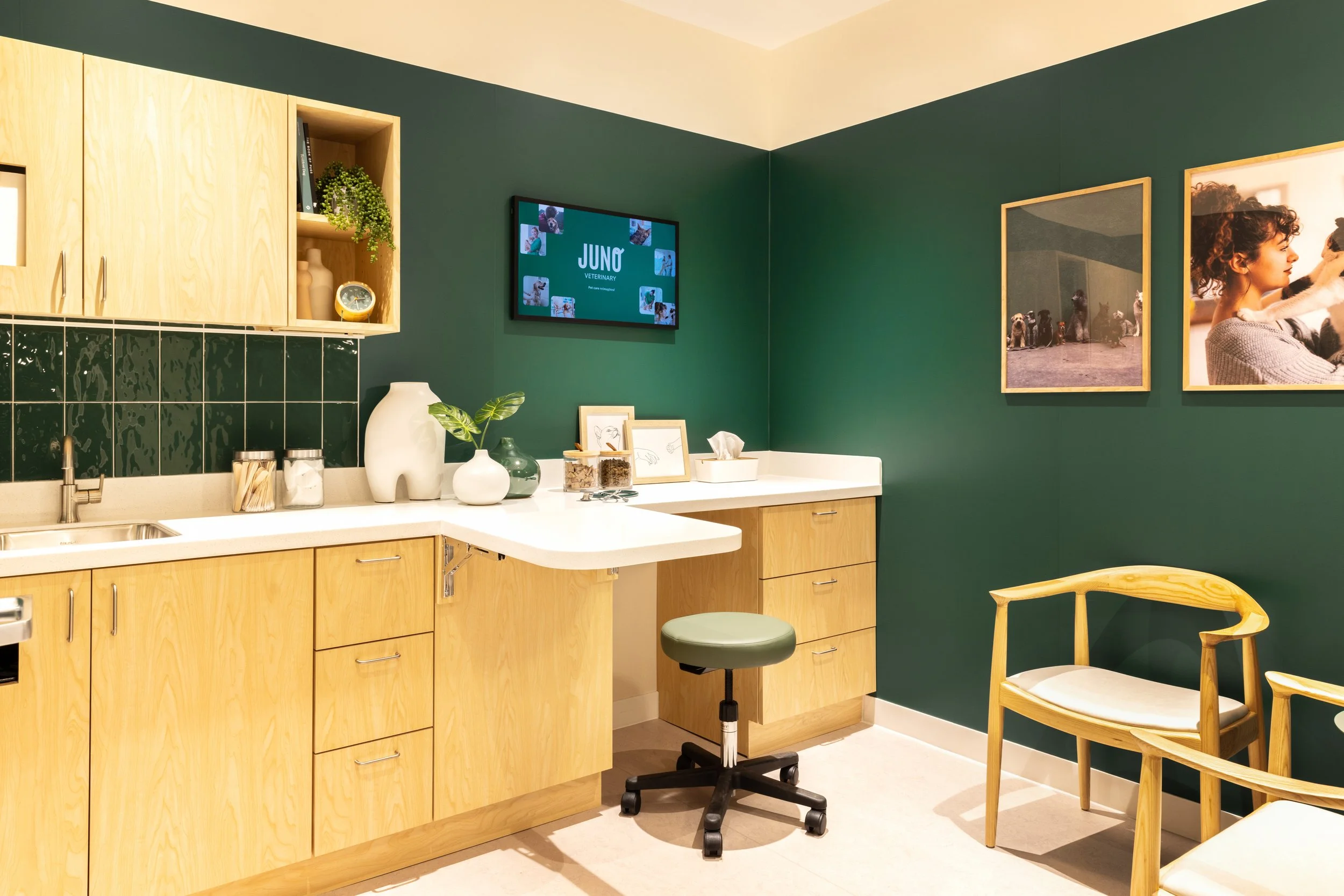 Juno Veterinary — ALA Website