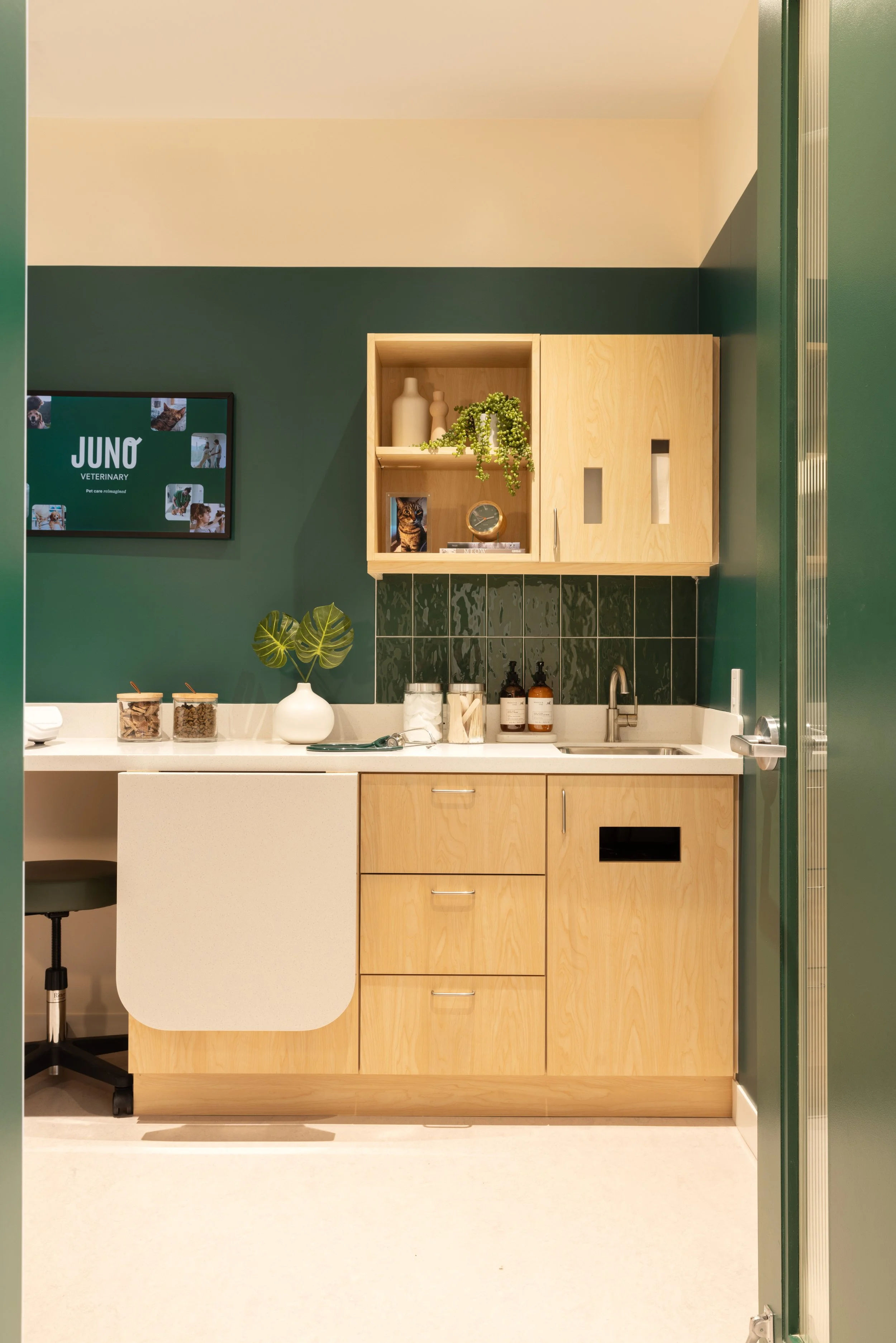 Juno Veterinary — ALA Website