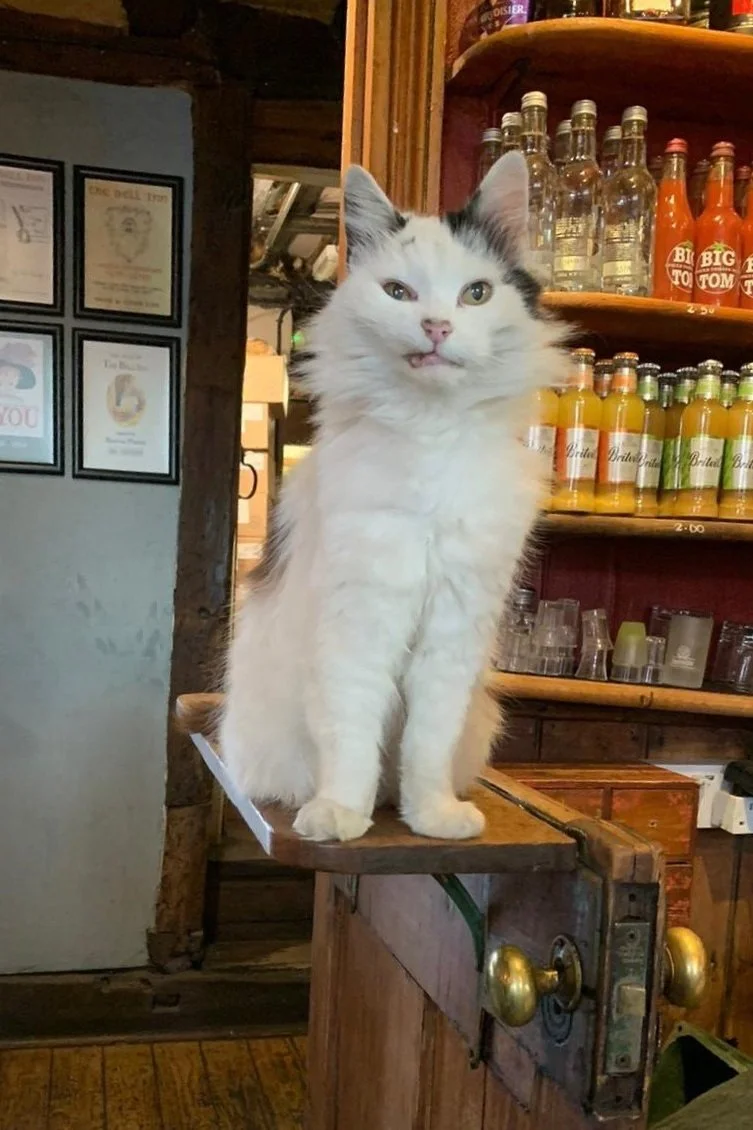 The Bell Inn, Castle Hedingham, Halstead, Essex CO9 3EJ