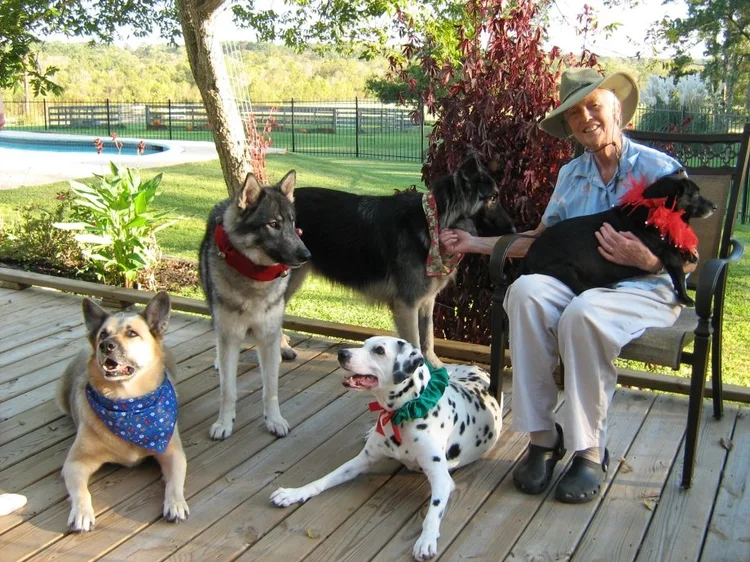 Our History — Saint Francis Wolf Sanctuary