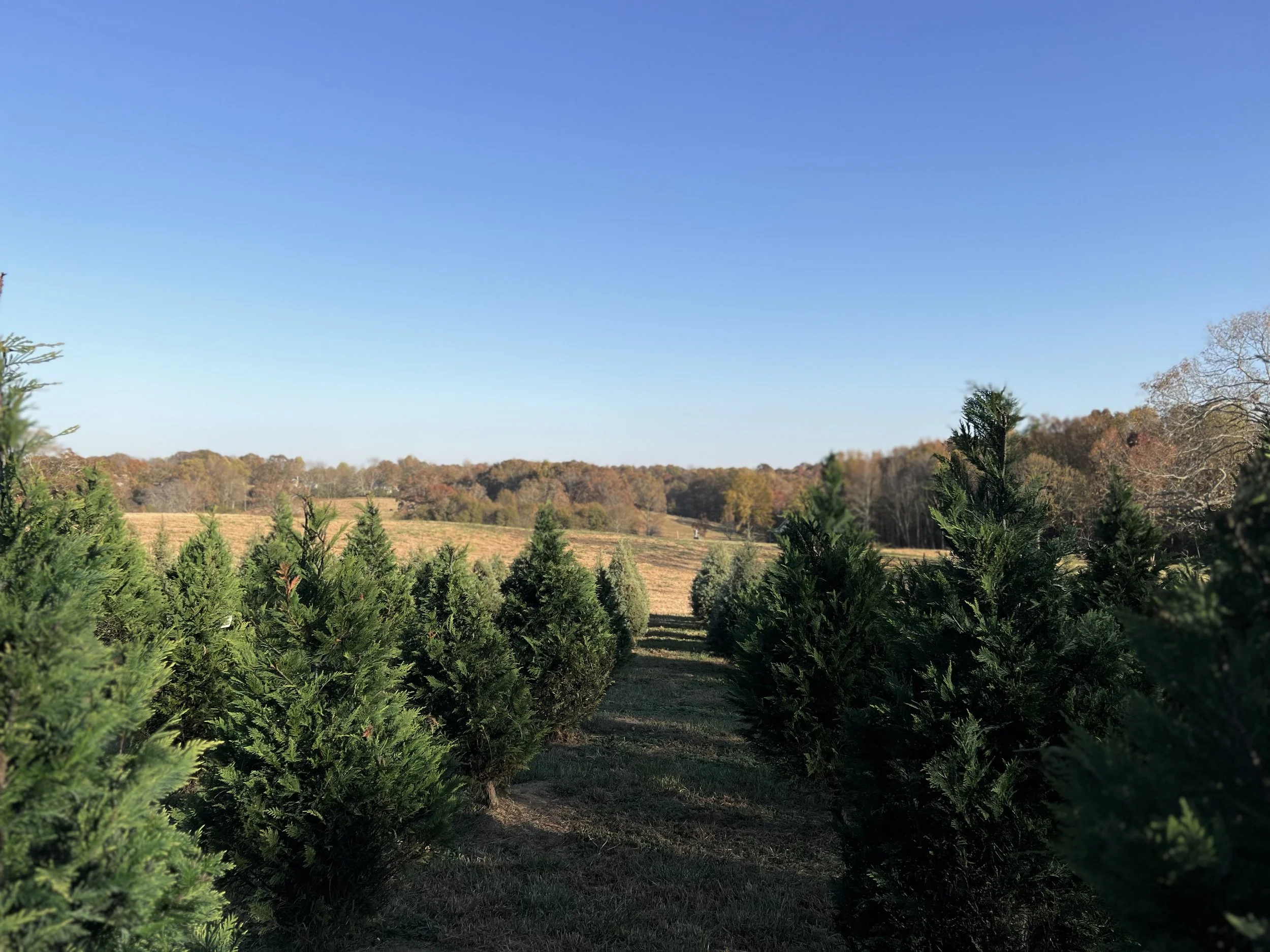 Savage Farms of Clermont