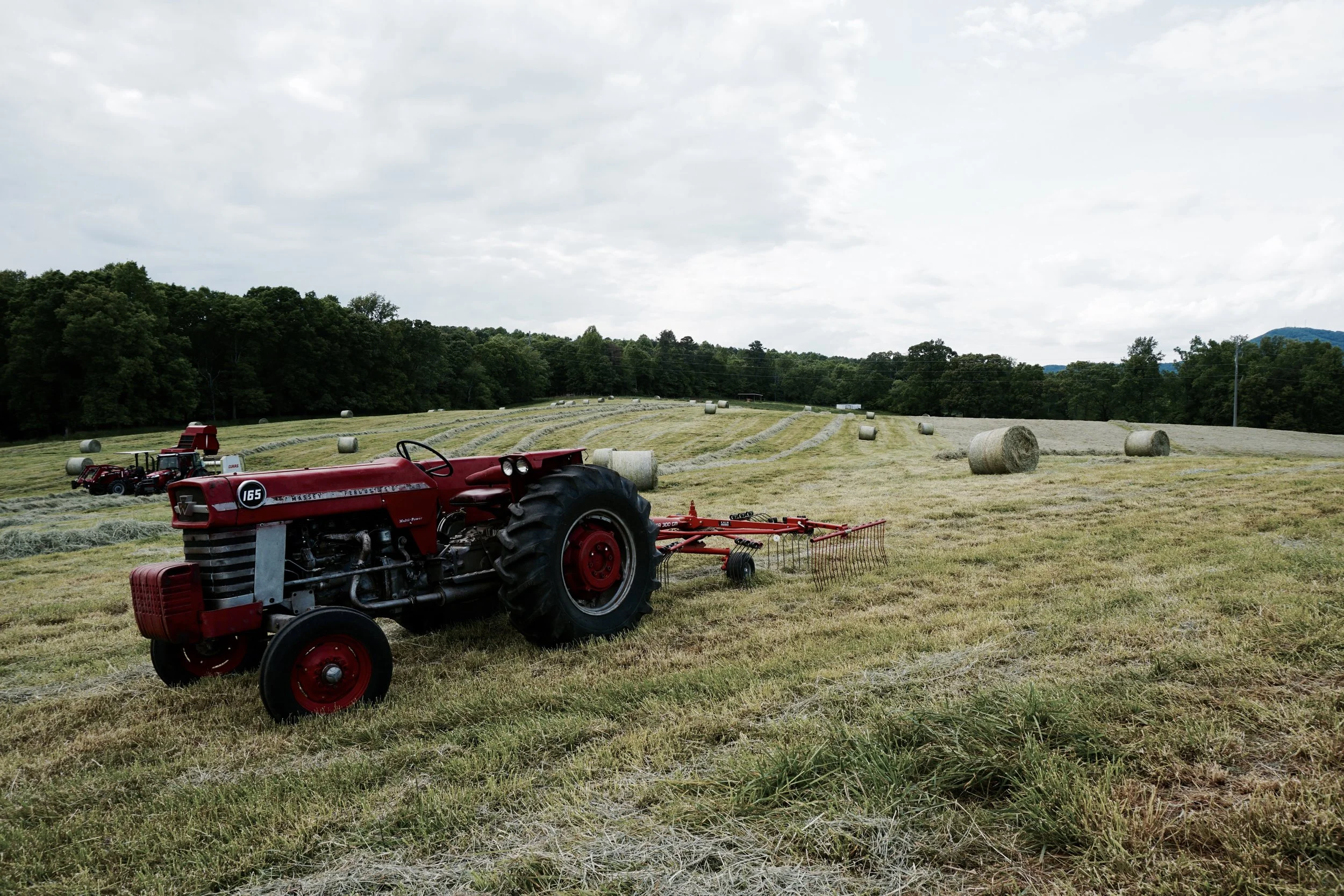 About Us — Savage Farms of Clermont