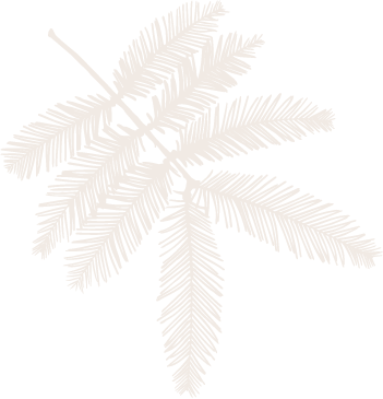 About — Tall Tree Health