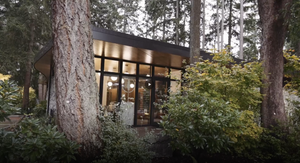 Book Online - All Services — Tall Tree Health