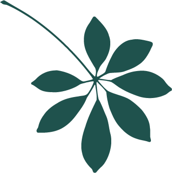 About — Tall Tree Health