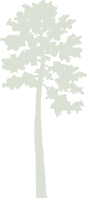 Tall Tree Health - Vancouver & Victoria