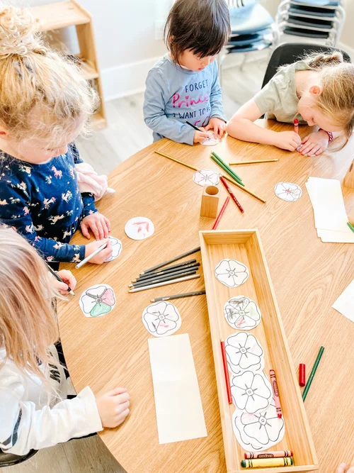 About 5 — Sprouts Early Learning