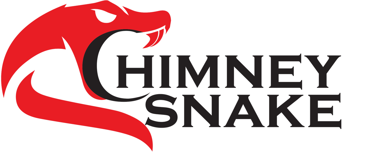 Chimney Snake