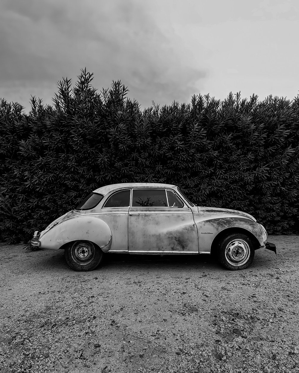 Neil Schwartz - Concert, Event, & Portrait Photographer in Phoenix