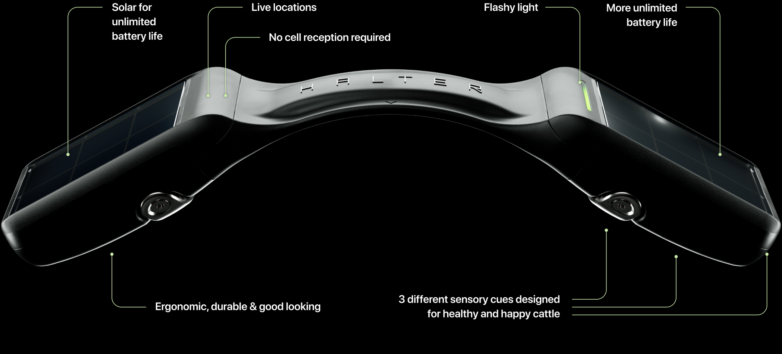 Halter - Now for Beef — Halter® | Virtual Fencing for High Performance ...