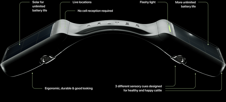 Halter - Now for Beef — Halter® | Virtual Fencing for High Performance ...