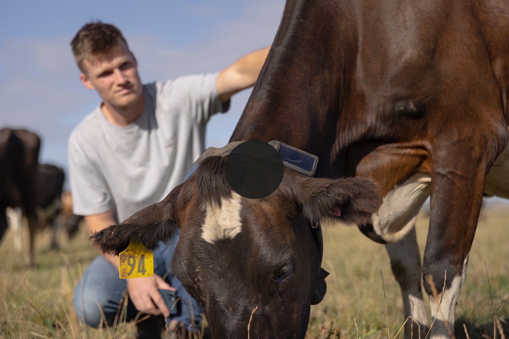 Looking Forward | Halter — Halter® | Virtual Fencing for High Performance Grazing