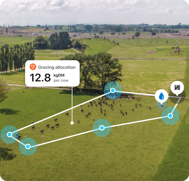 Grazing — Halter® | Virtual Fencing for High Performance Grazing