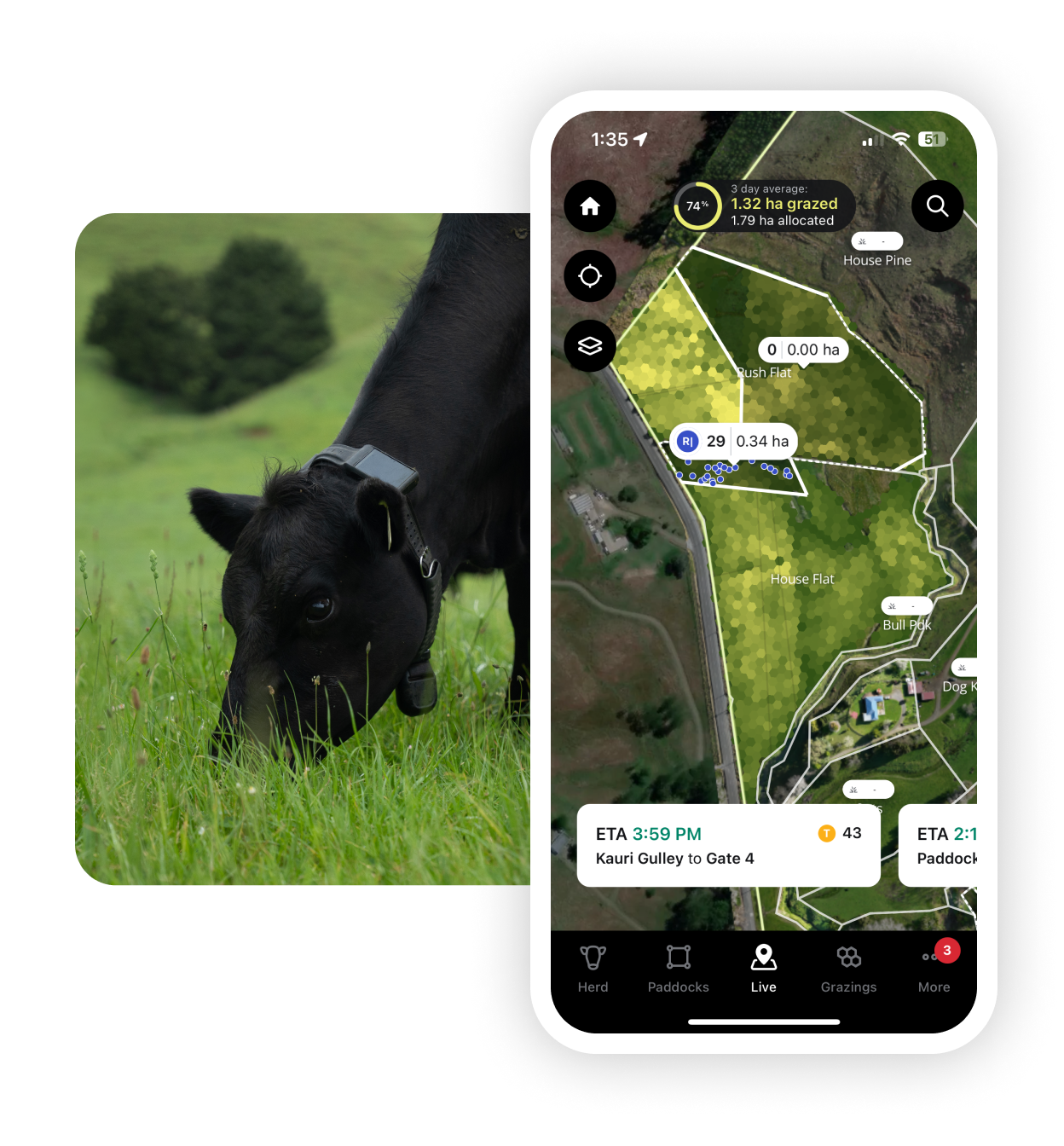 Halter - Now for Beef — Halter® | Virtual Fencing for High Performance ...