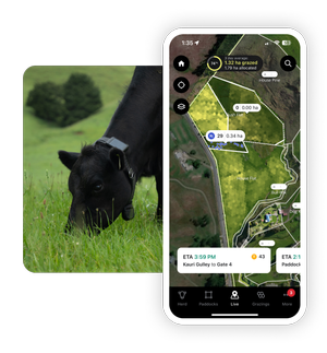 Halter - Now for Beef — Halter® | Virtual Fencing for High Performance ...