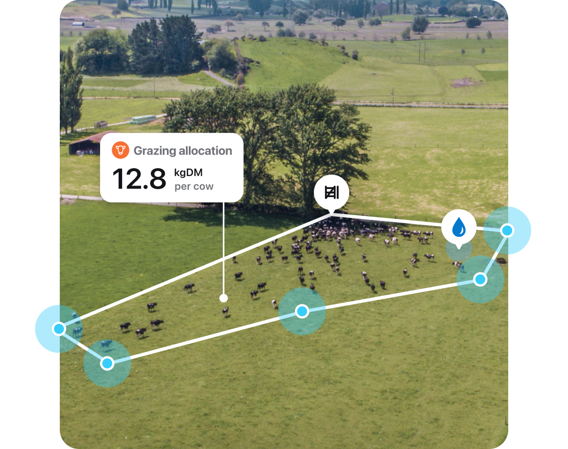 Dairy — Halter® | Virtual Fencing for High Performance Grazing