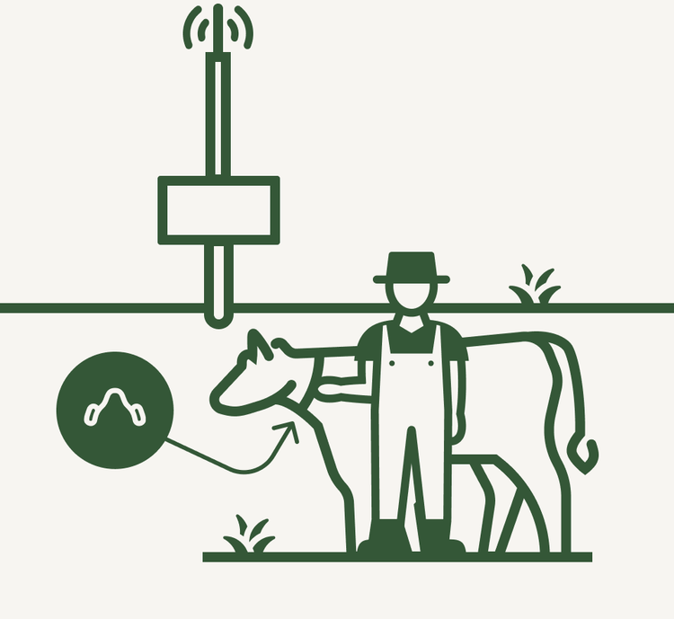 Halter - Now for Beef — Halter® | Virtual Fencing for High Performance ...