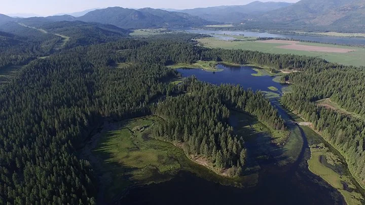 About — Buck Quarter Ranch