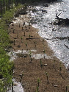 Fabric-Encapsulated Soil Lift (FESL) Construction — Watershed ...