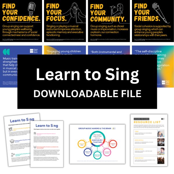 Learn to Sing Digital Campaign — Bigger Better Brains