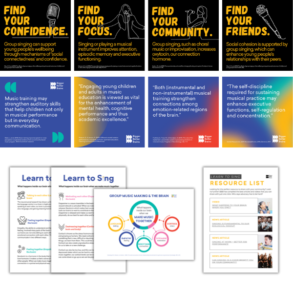 Learn to Sing Digital Campaign — Bigger Better Brains
