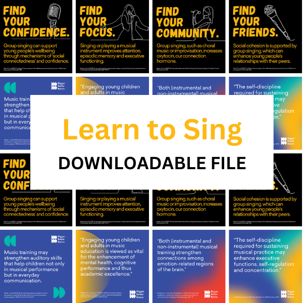 Learn to Sing Digital Campaign — Bigger Better Brains