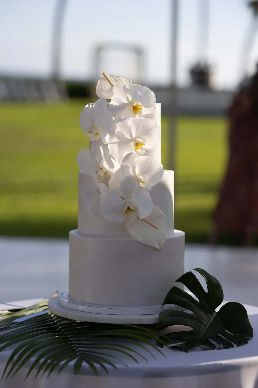 Gallery 3 — MANA CAKES HAWAII