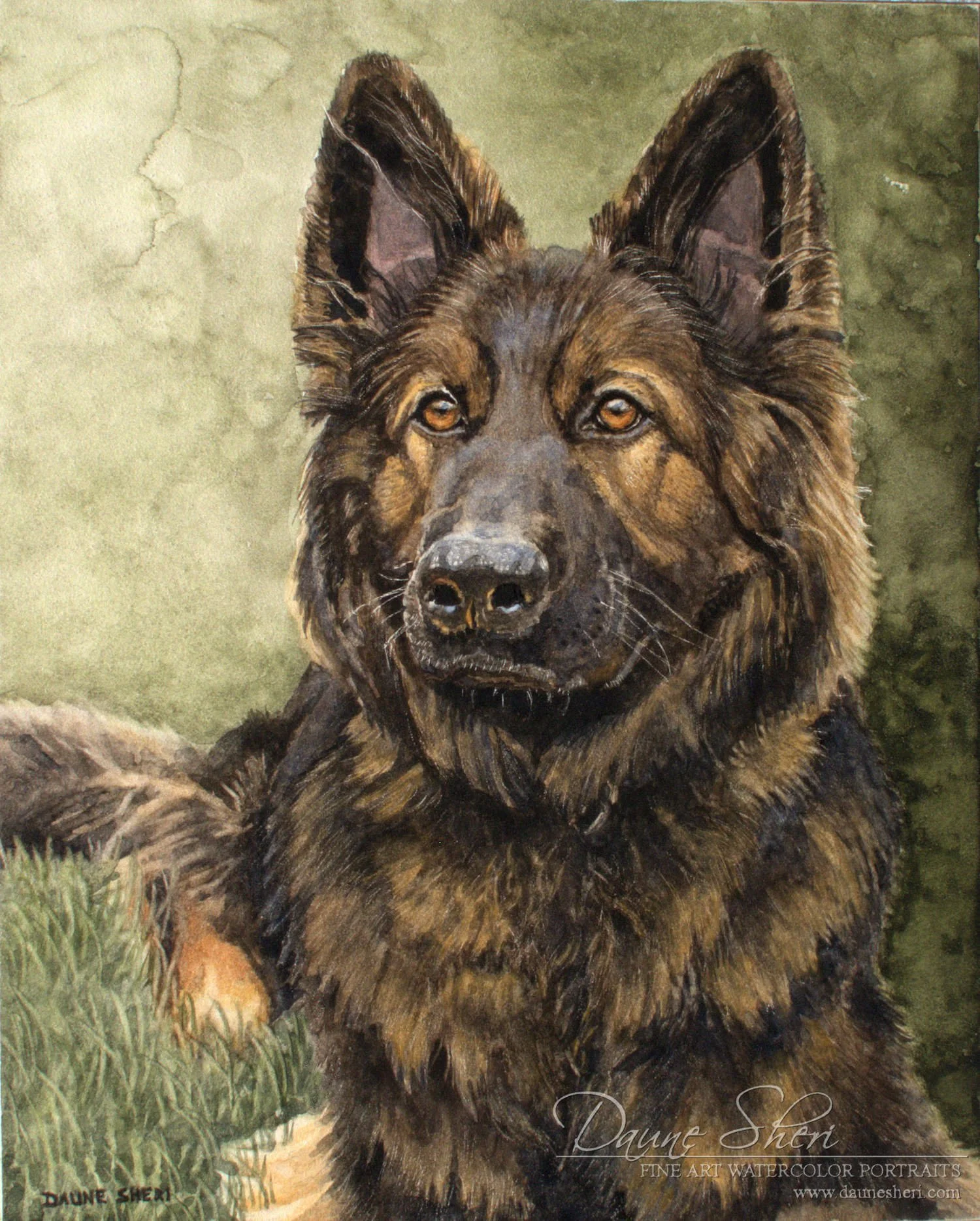 Daune Sheri - Fine Art Watercolor