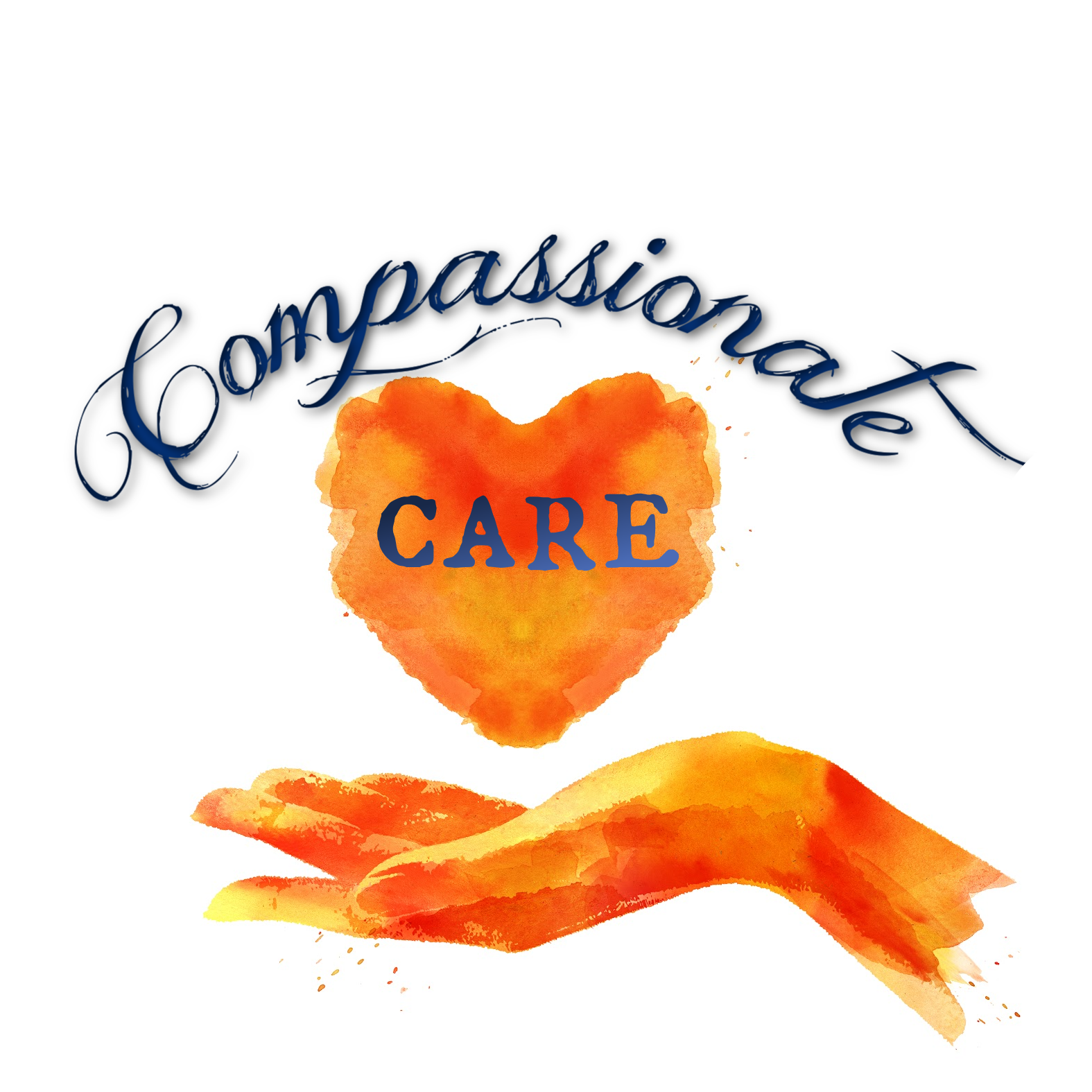 About Our Dental Team — Preferred Dental Partners