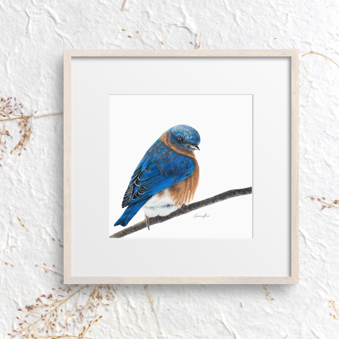 Store — LaurenKlineArt