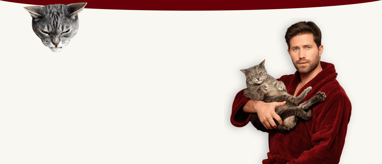 NATHAN THE CATLADY - Nathan the CatLady Official Website