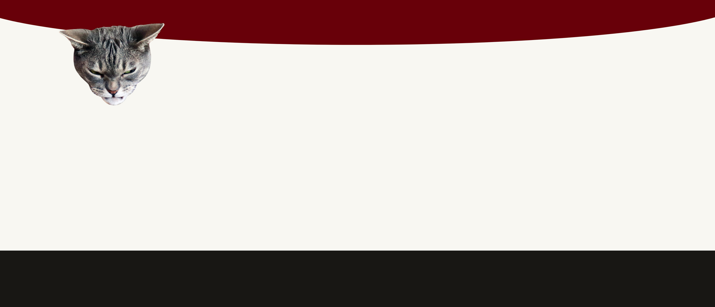 NATHAN THE CATLADY - Nathan the CatLady Official Website