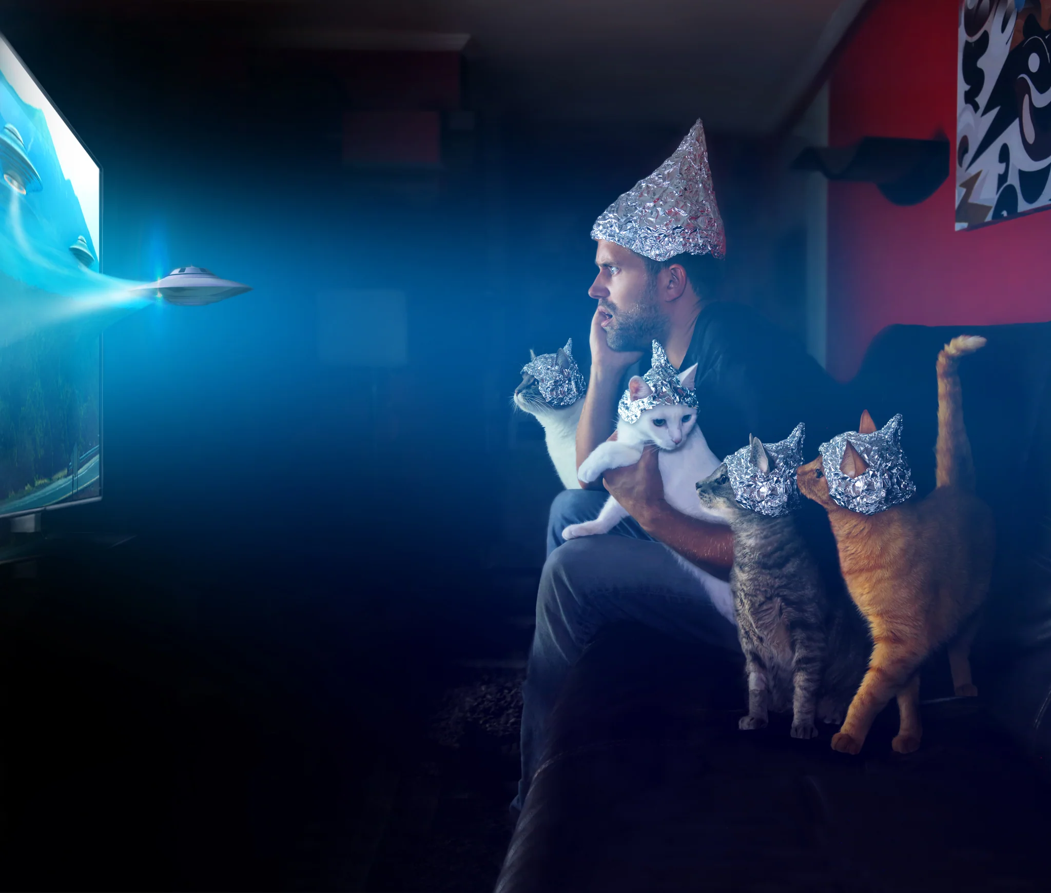 NATHAN THE CATLADY - Nathan the CatLady Official Website