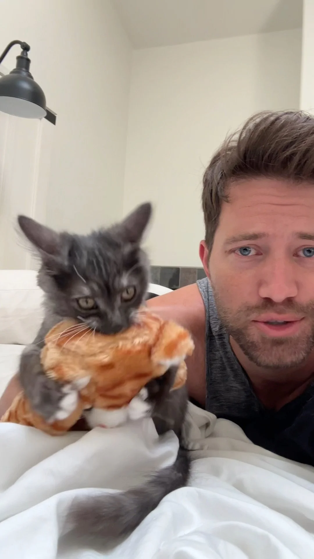 NATHAN THE CATLADY - Nathan the CatLady Official Website