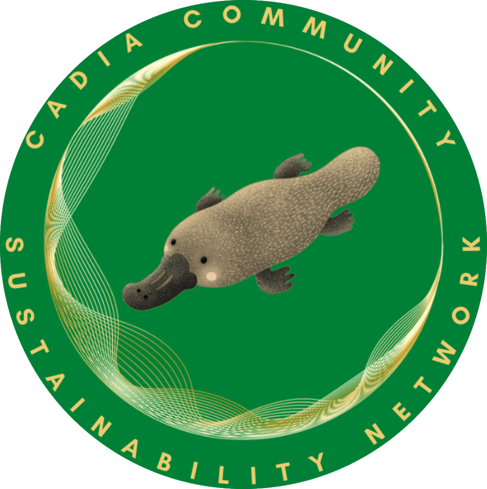 Cadia Community Sustainability Network