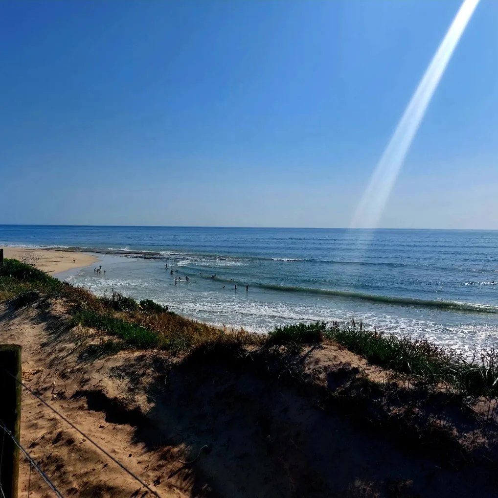 The Program — Overeaters Anonymous