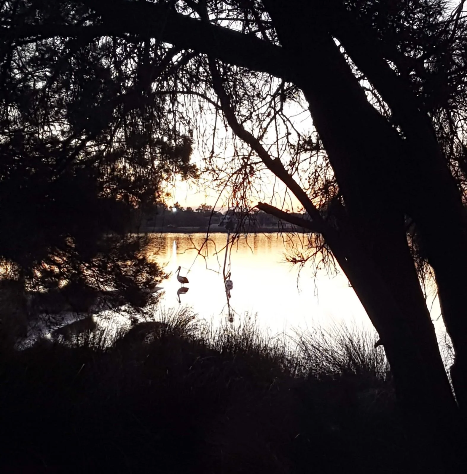 About Overeaters Anonymous — Overeaters Anonymous