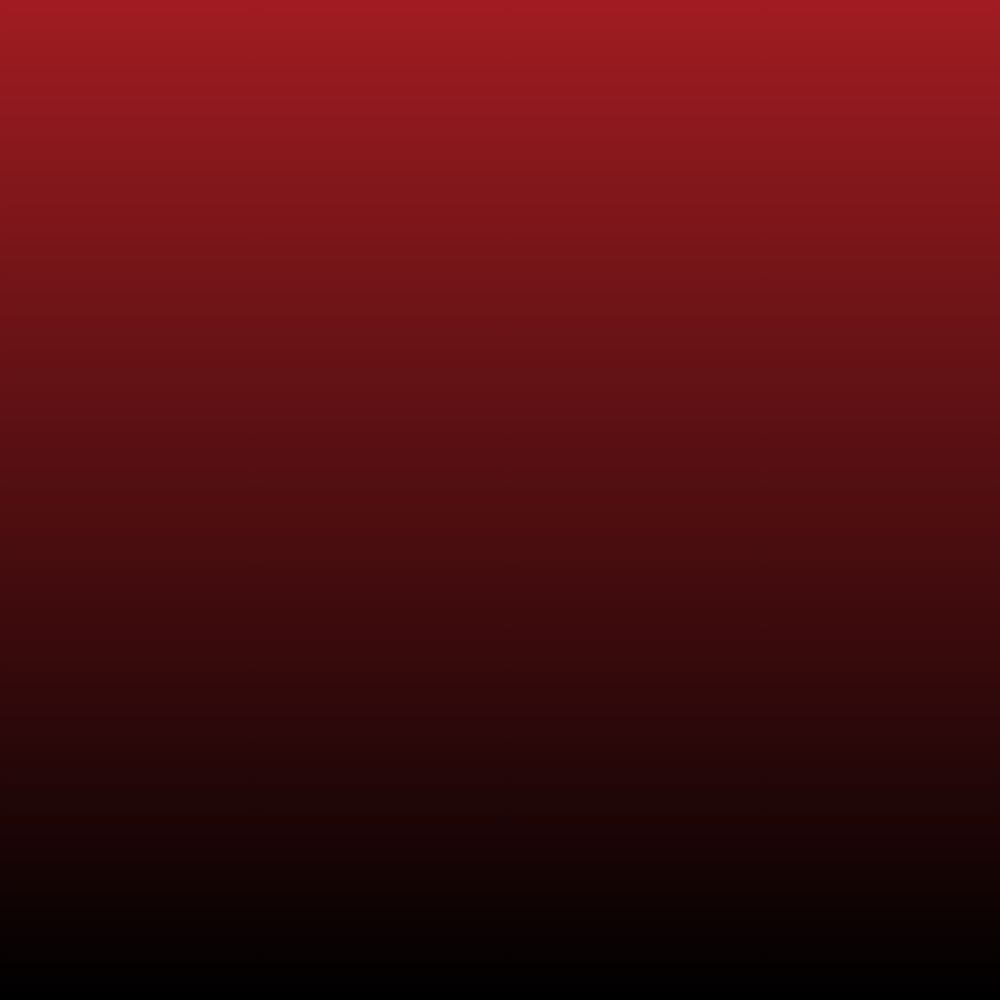 Position Paper (Copy) — AUSMUN 2026