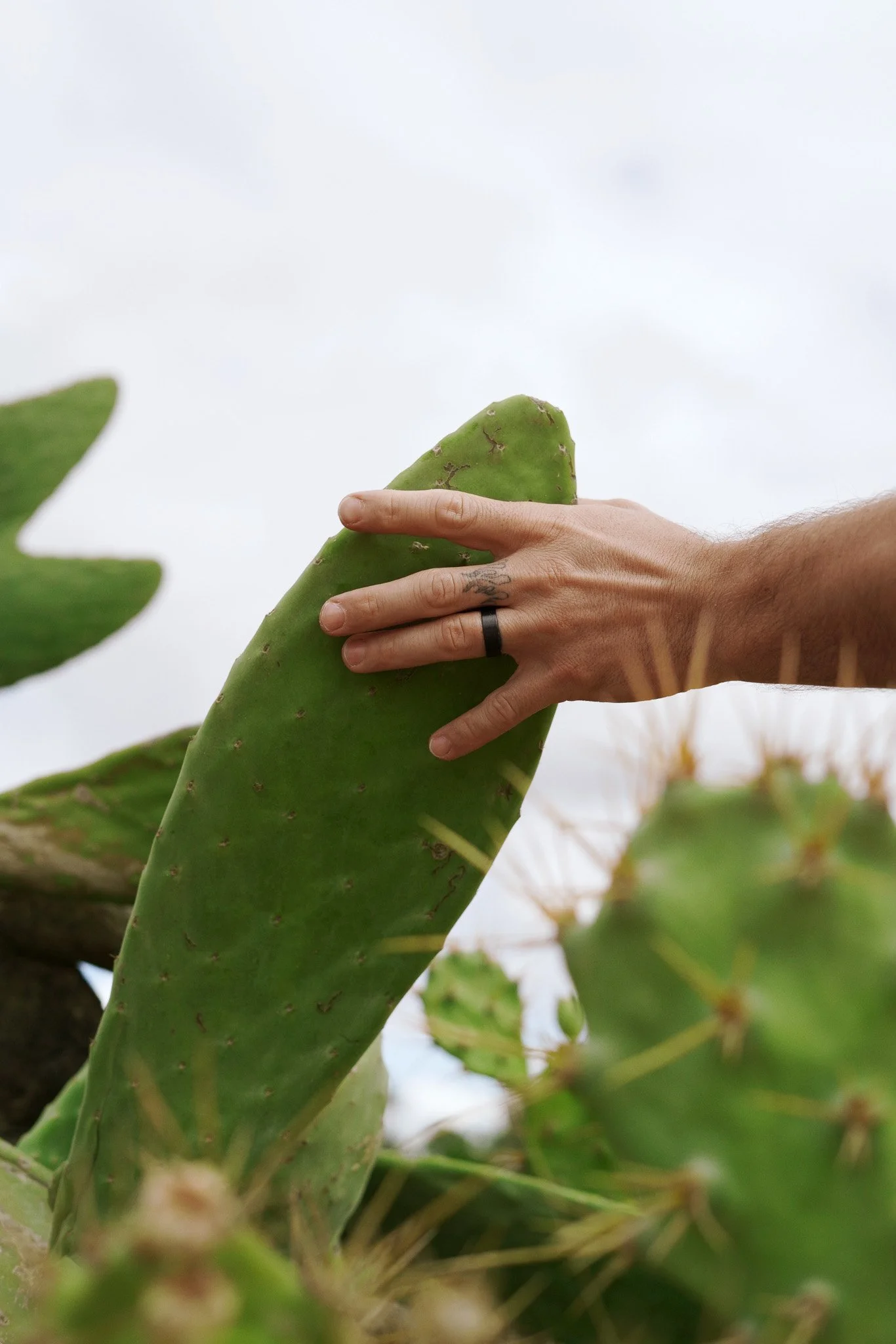 Medium Carbon ring with Platinum — Singularity