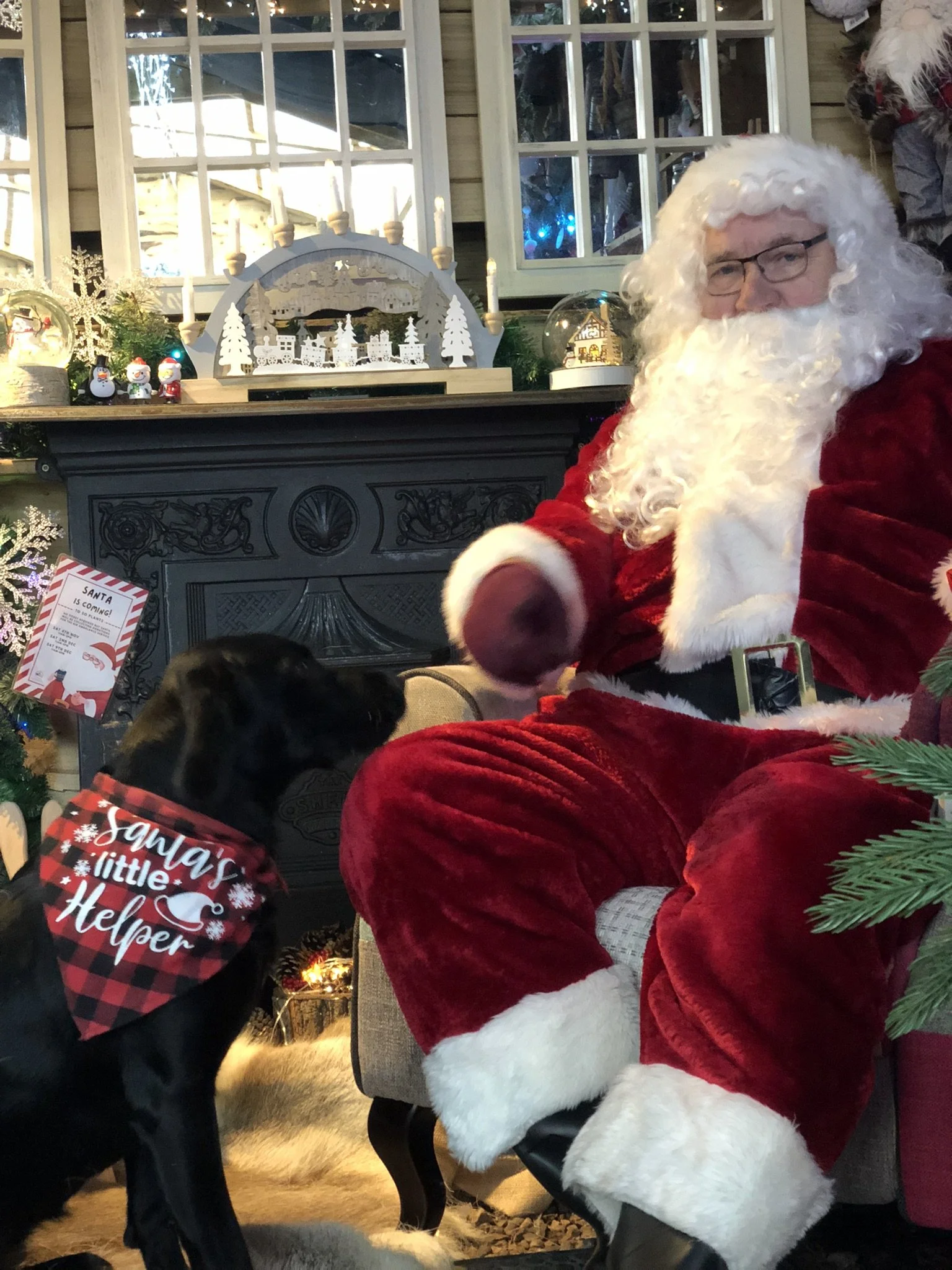 What's New — SO Plants