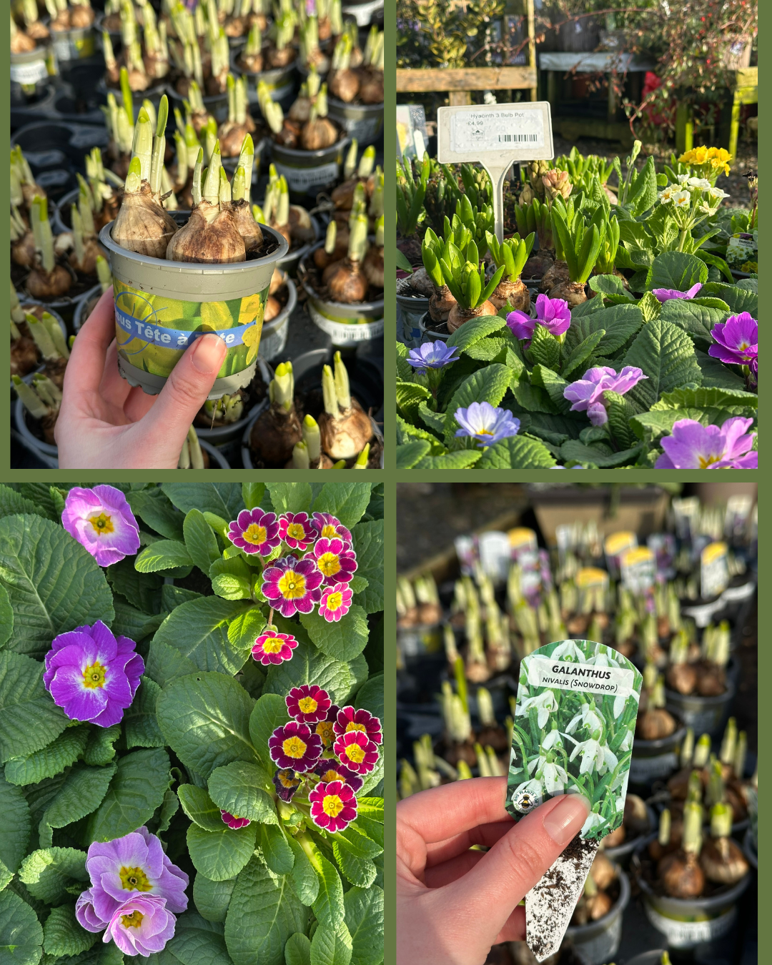 What's New — SO Plants