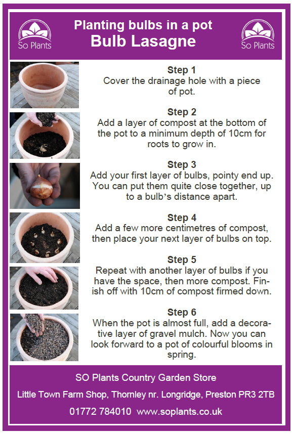 Planting — SO Plants