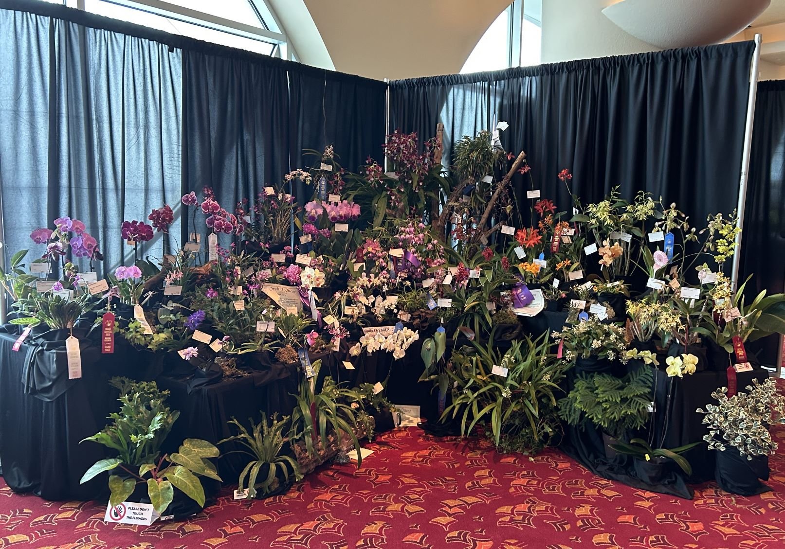 Events-ALL — Illinois Orchid Society