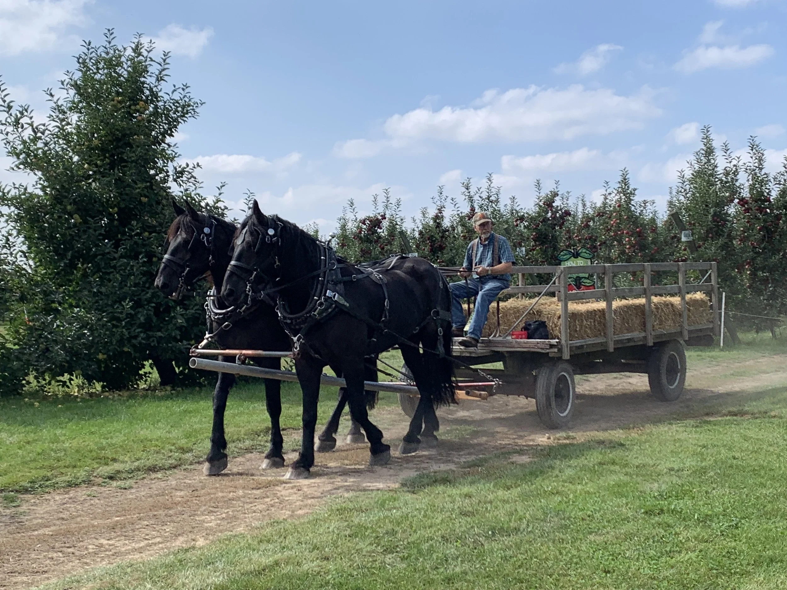VISIT — Farmhaus Farms