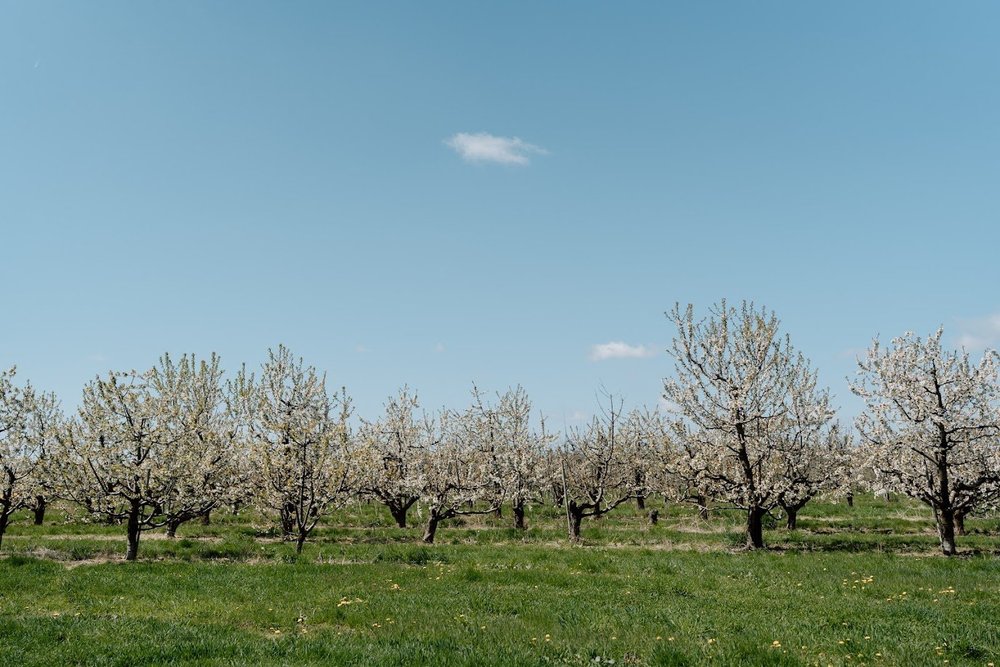 Farmhaus Farms