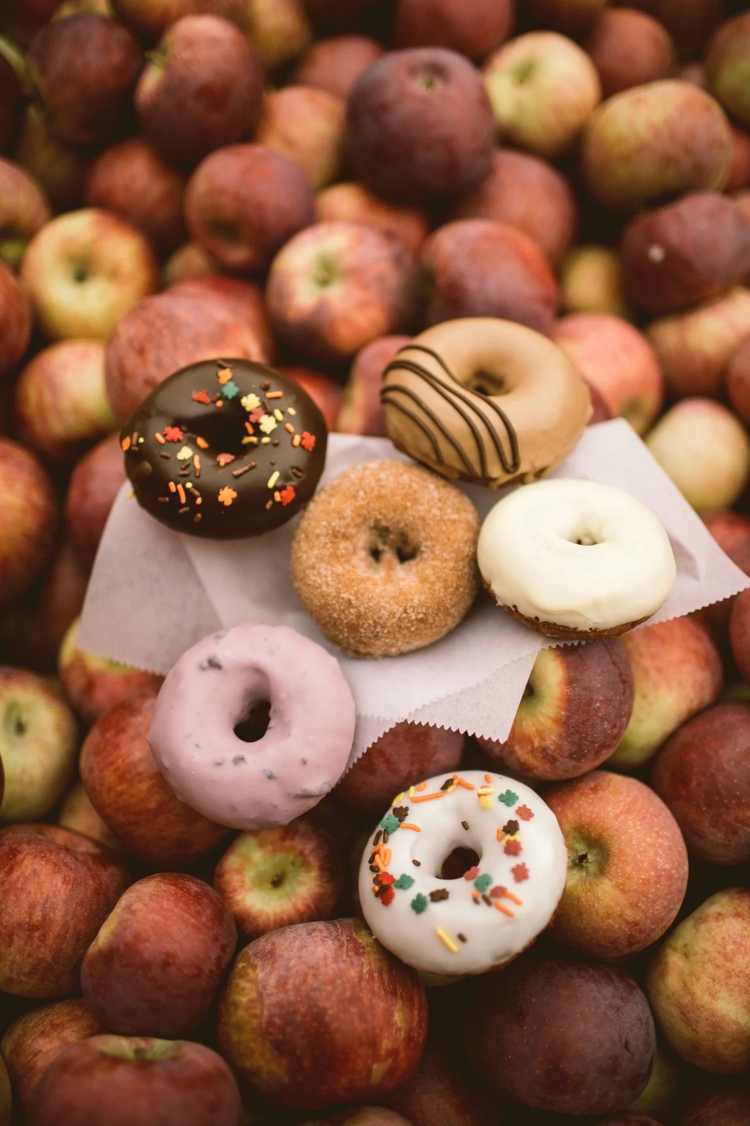 Bakery Donuts — Farmhaus Farms