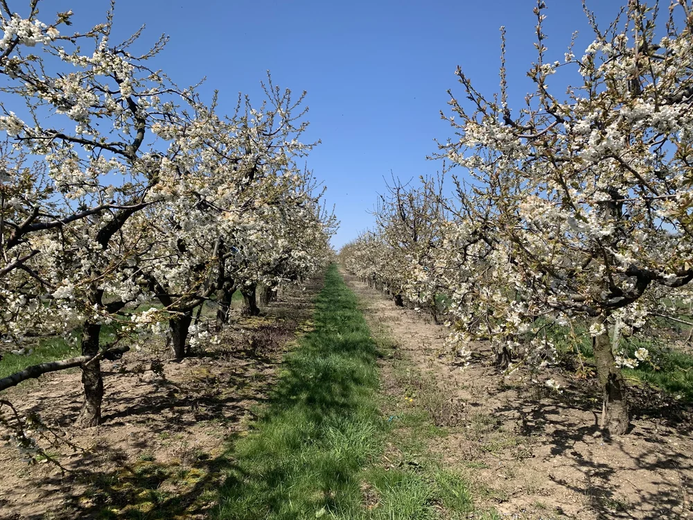 VISIT — Farmhaus Farms